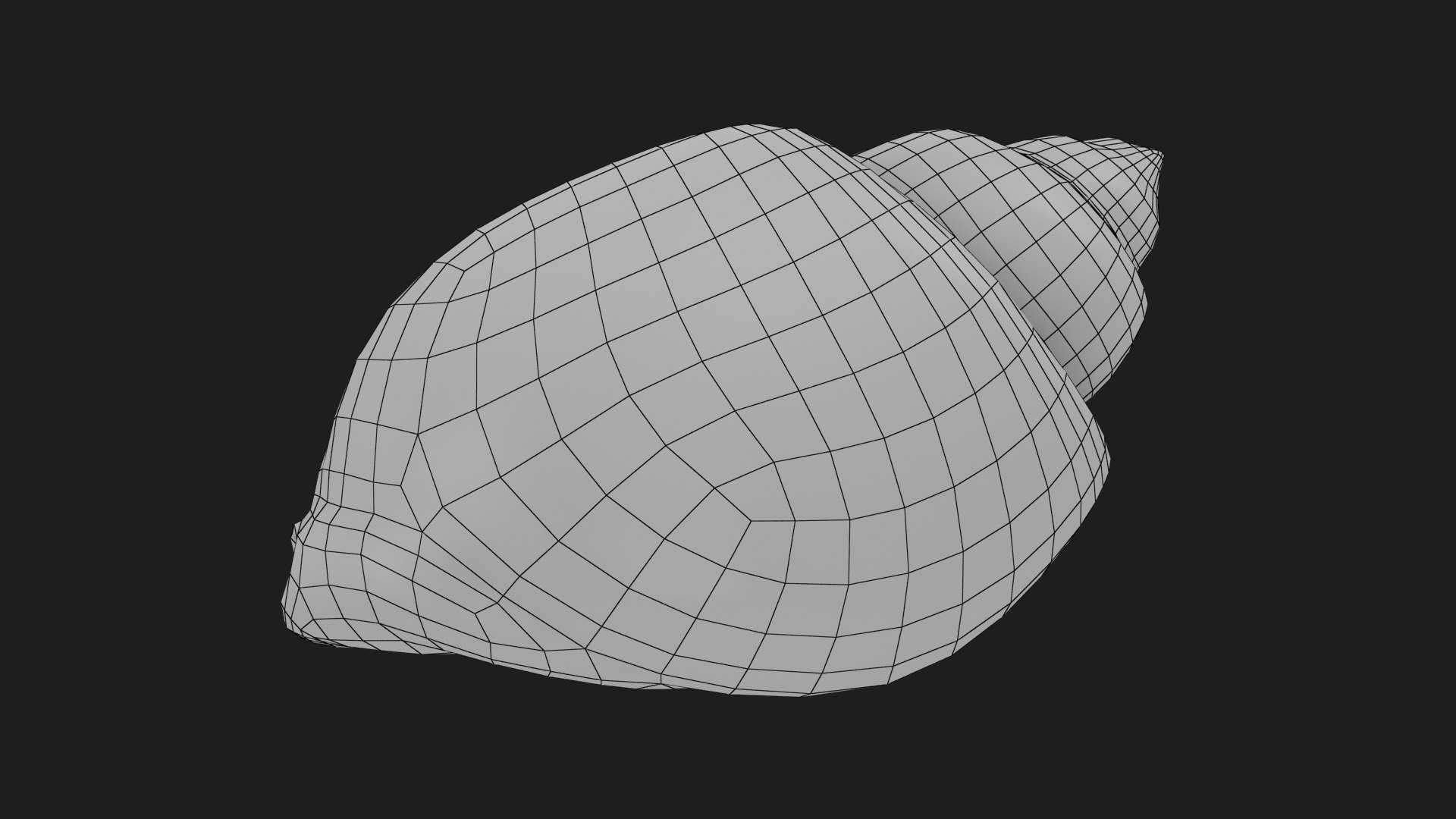 Sea Shell Seashell 3D Model - TurboSquid 1698785