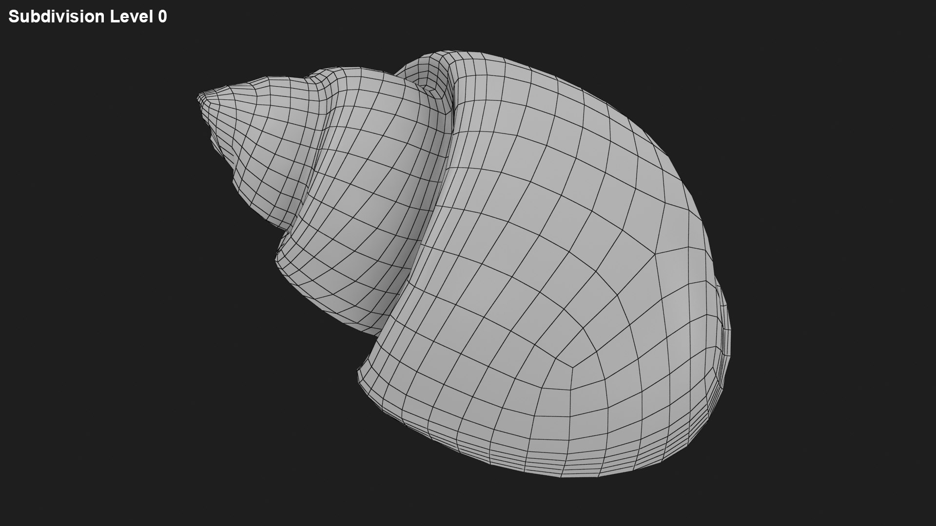 Sea Shell Seashell 3D Model - TurboSquid 1698785