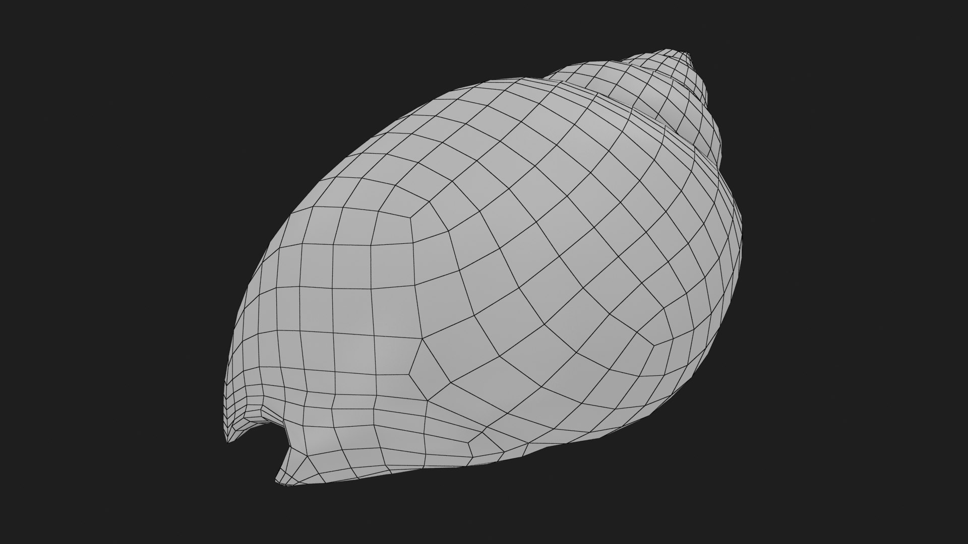 Sea shell seashell 3D model - TurboSquid 1698785