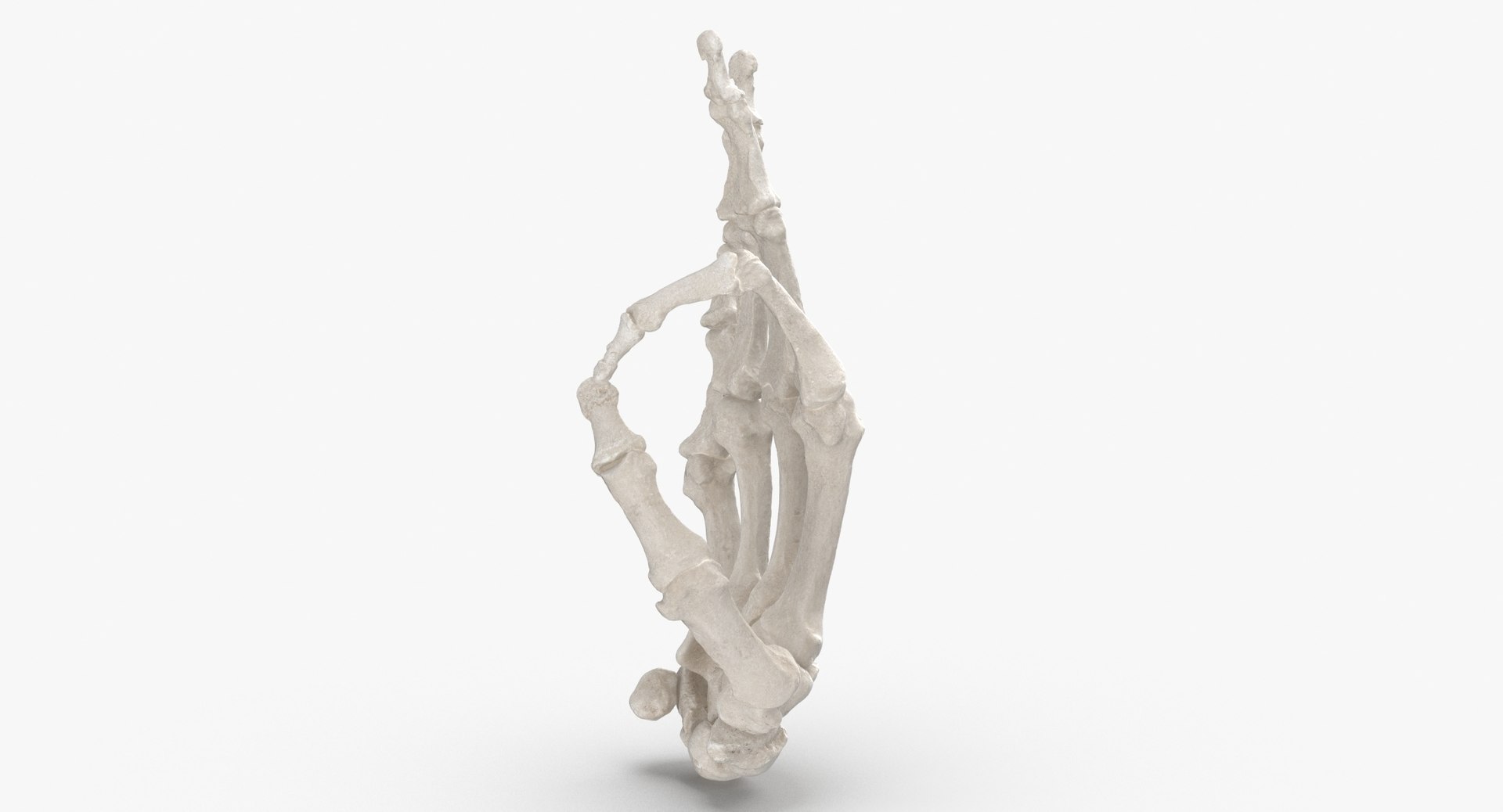 3D Human Hand Bones Ok Sign White And Yellow Collection 01 - 2 Models ...