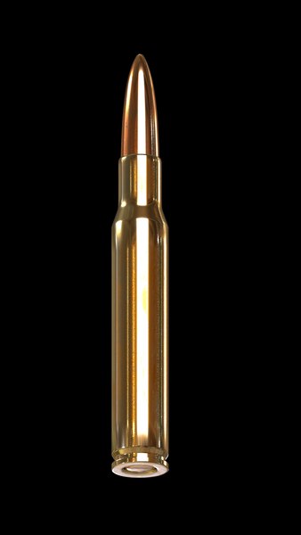 30-60 springfield cartridge 3D model - TurboSquid 1404341