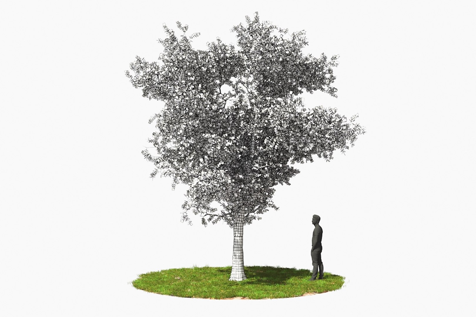 Tree animation 3D - TurboSquid 1481442