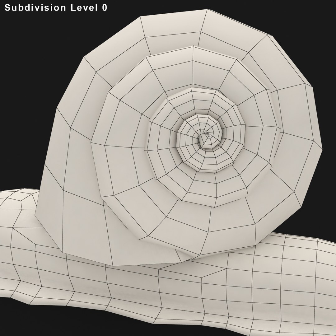 3d model snail