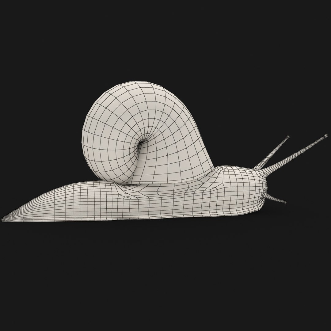 3d model snail
