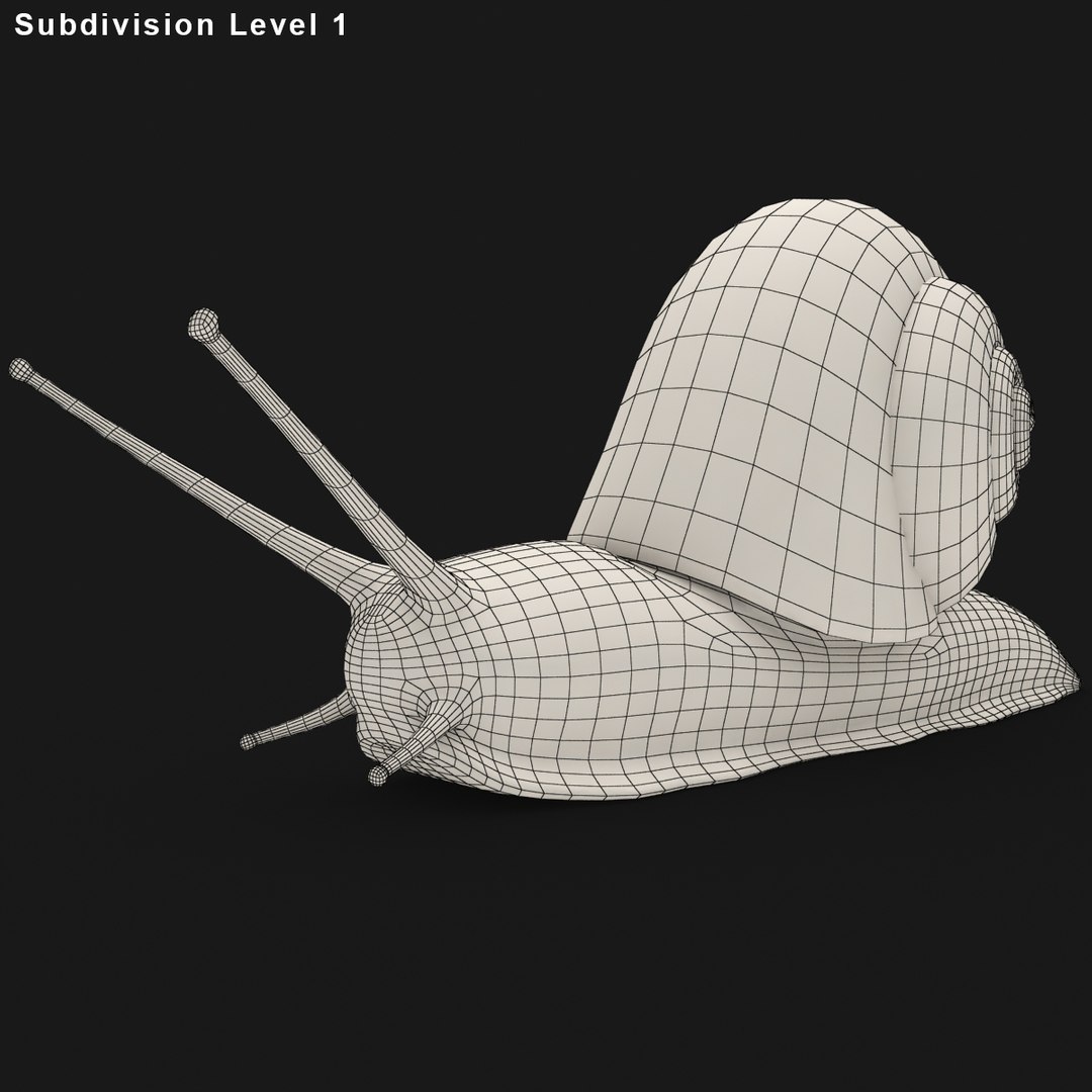3d model snail