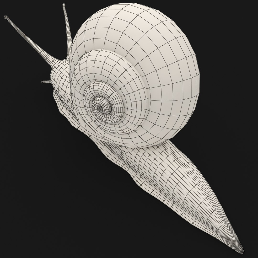 3d model snail