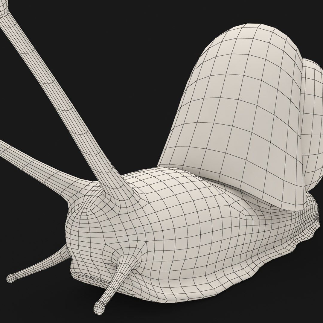3d model snail