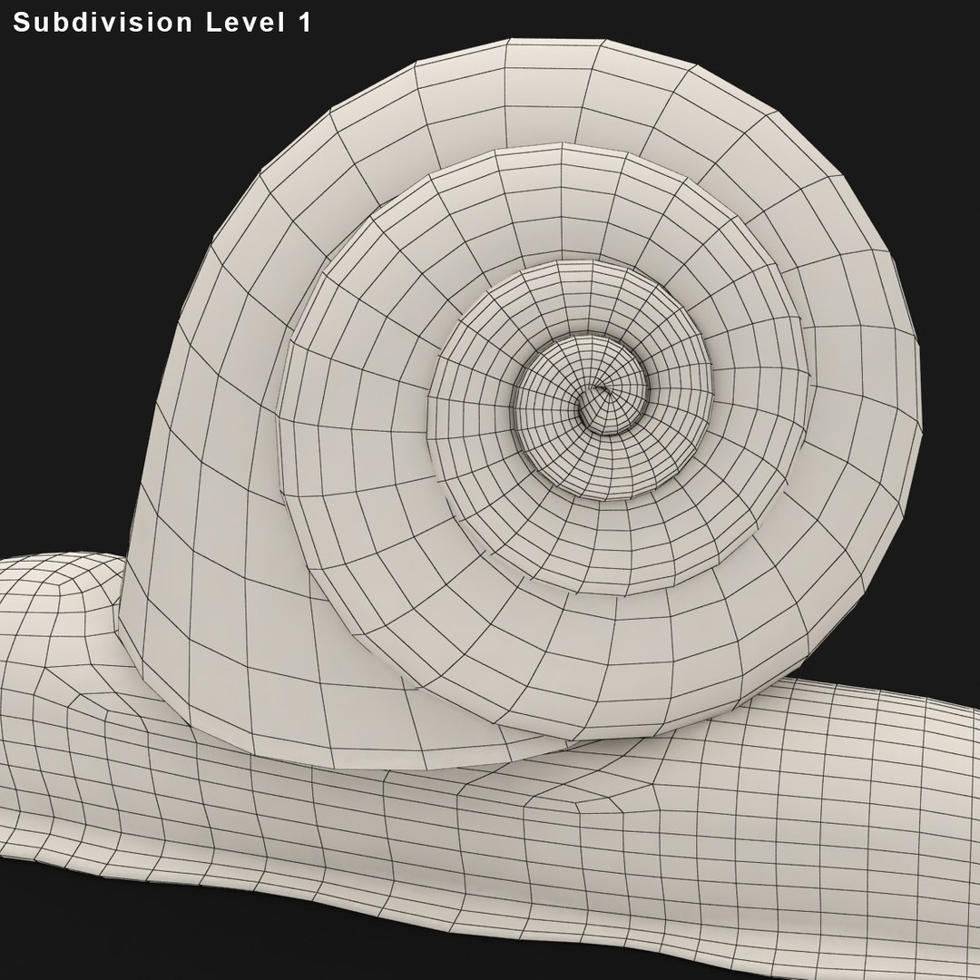 3d model snail
