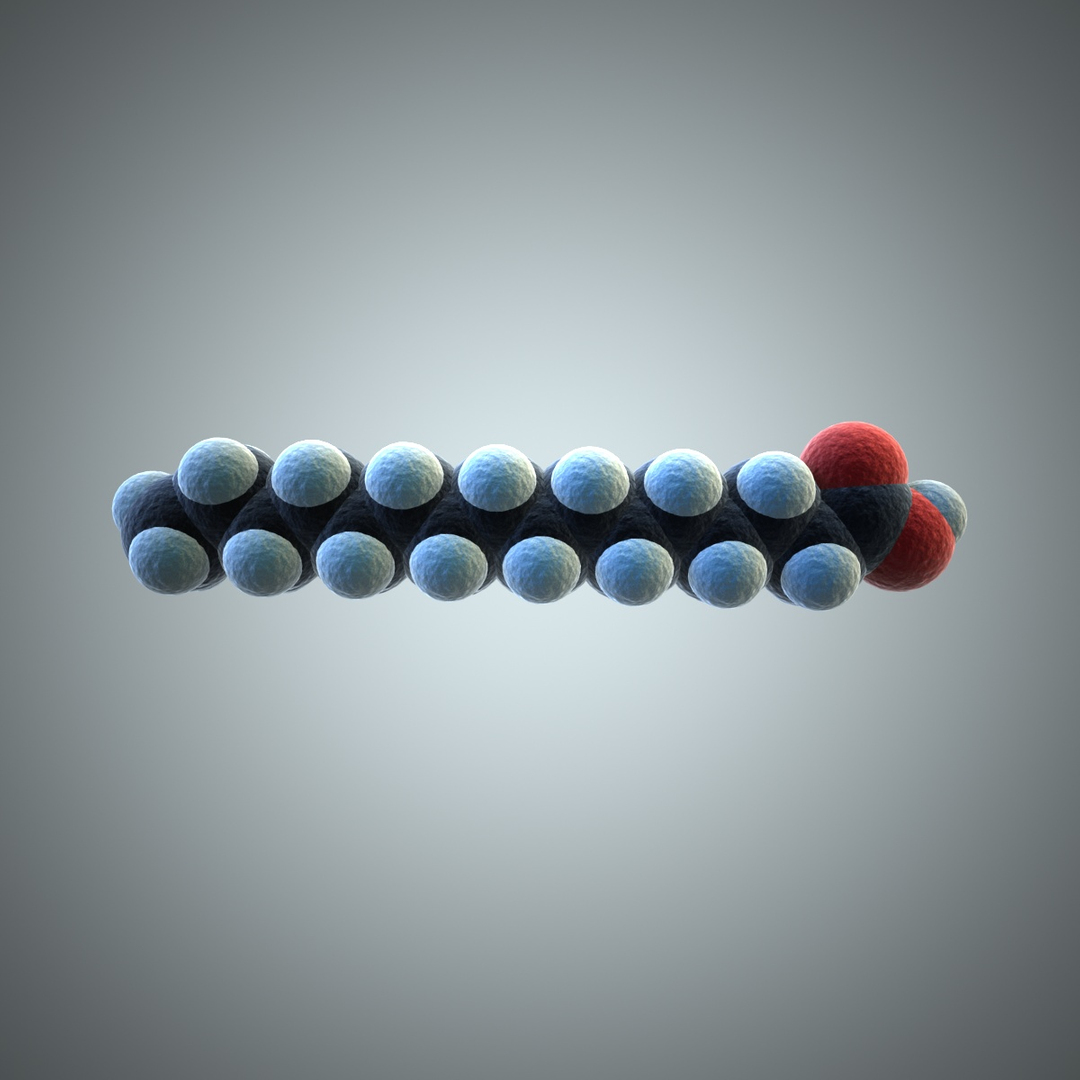 formula palmitic acid 3d model