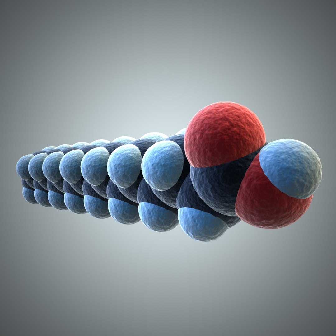 formula palmitic acid 3d model