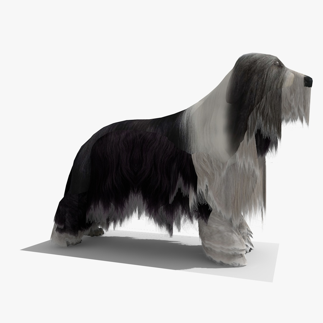 Bearded Collie Dog Animations 3d 3ds