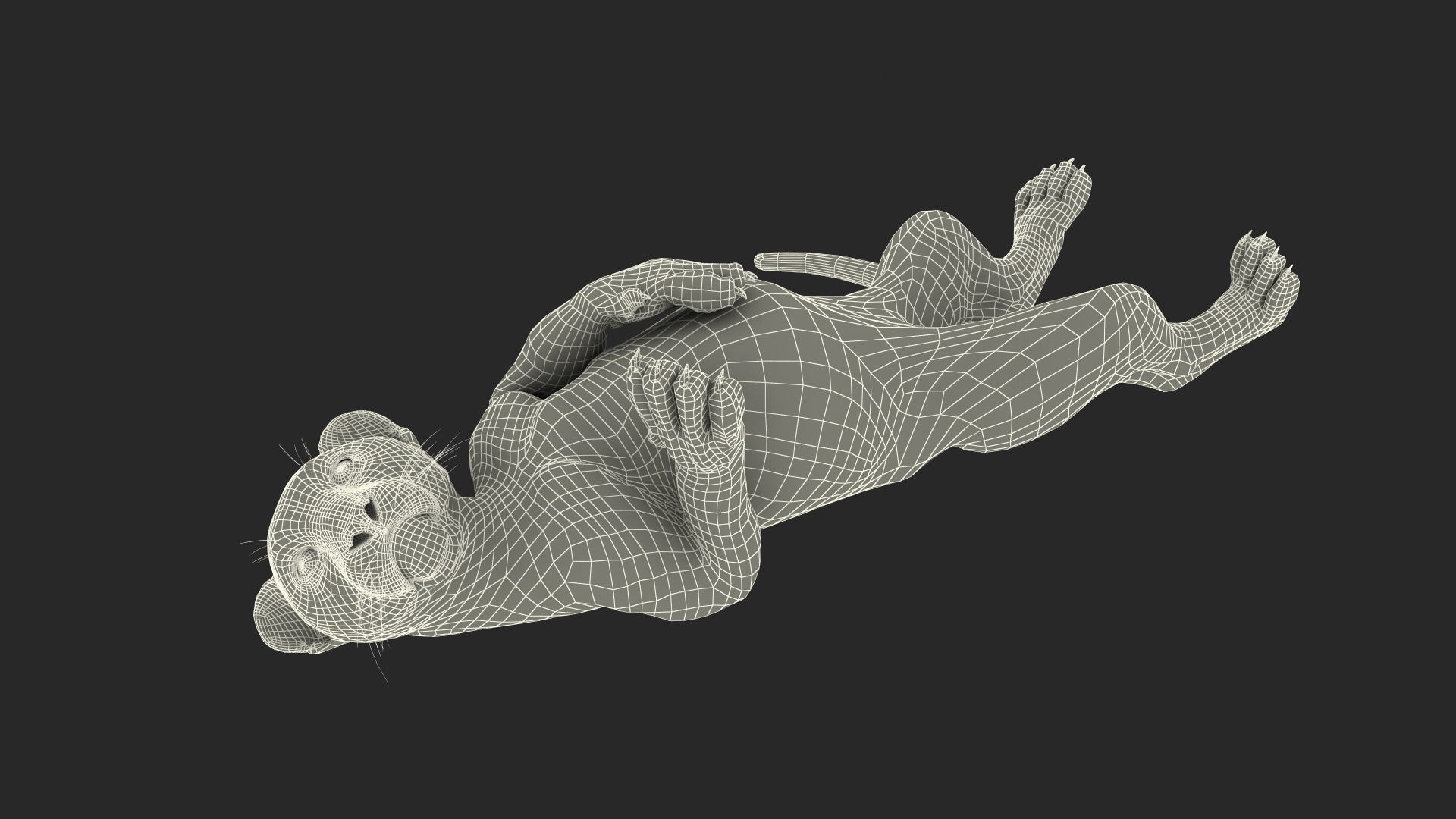 Snow Leopard Cub In Lying Playful Pose Fur For Maya 3D - TurboSquid 2421990