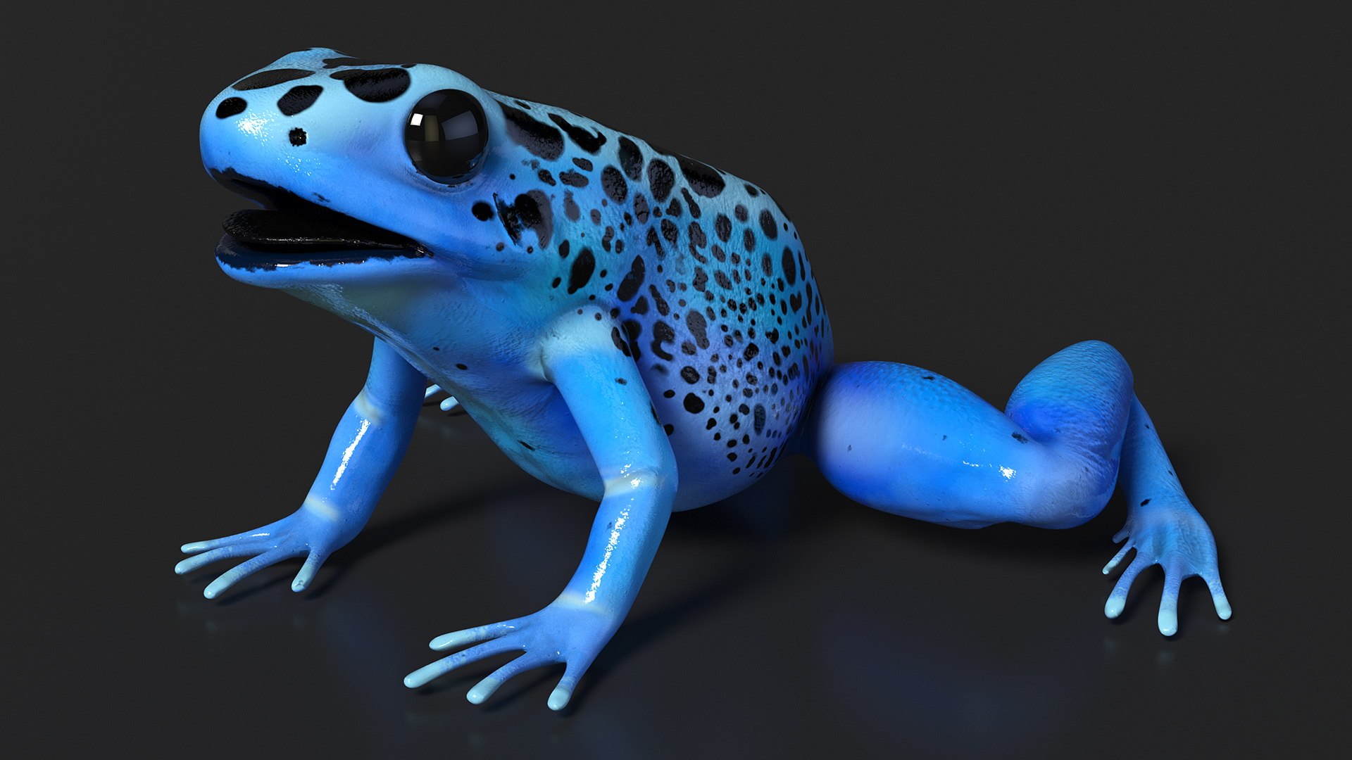 3D Blue Poison Arrow Frog Rigged For Cinema 4D Model - TurboSquid 2199785