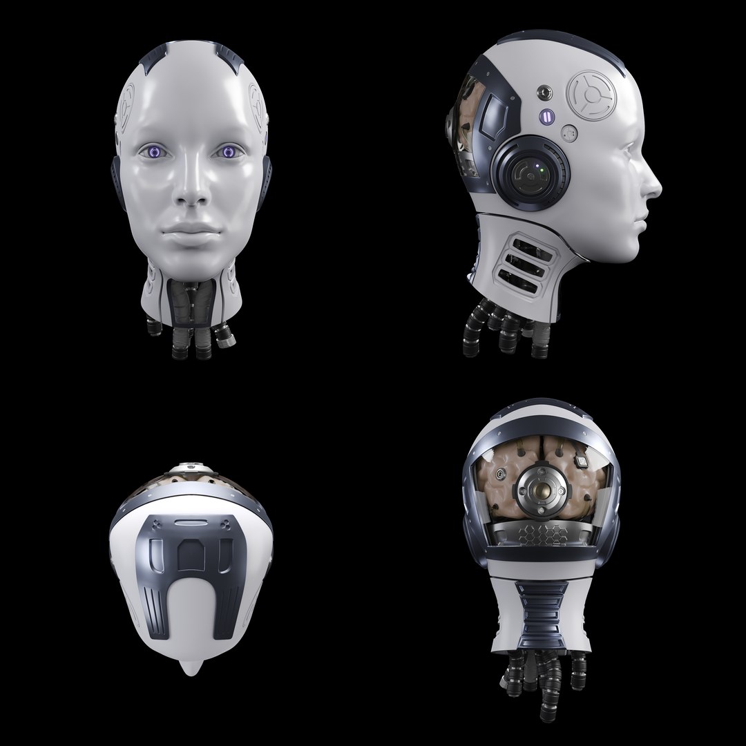 3D Female And Male Robot Heads - TurboSquid 2238540