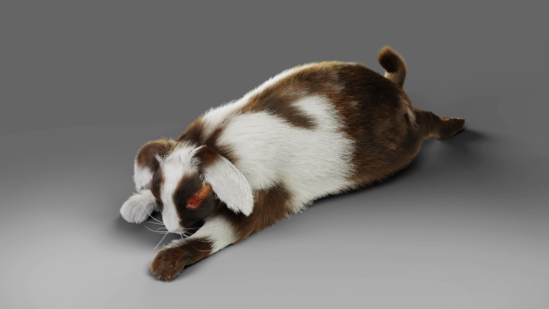 3D 3D Fur Rabbit Gray V04 Rigged And Animation Model - TurboSquid 1931607