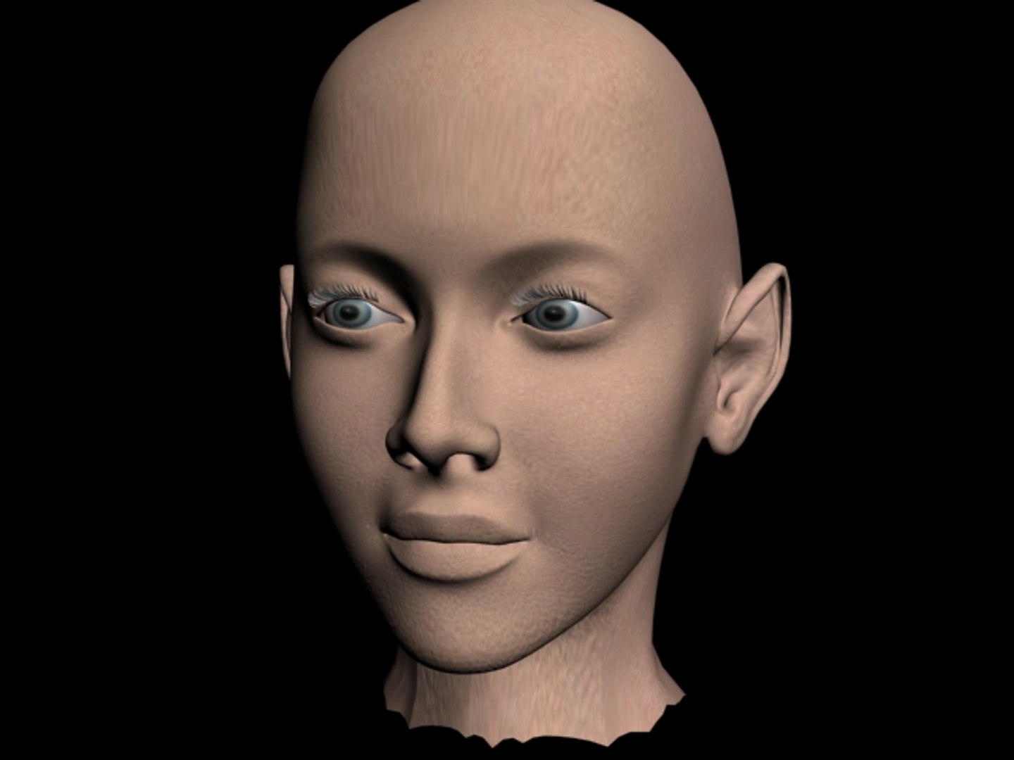 Head Face 3d Model