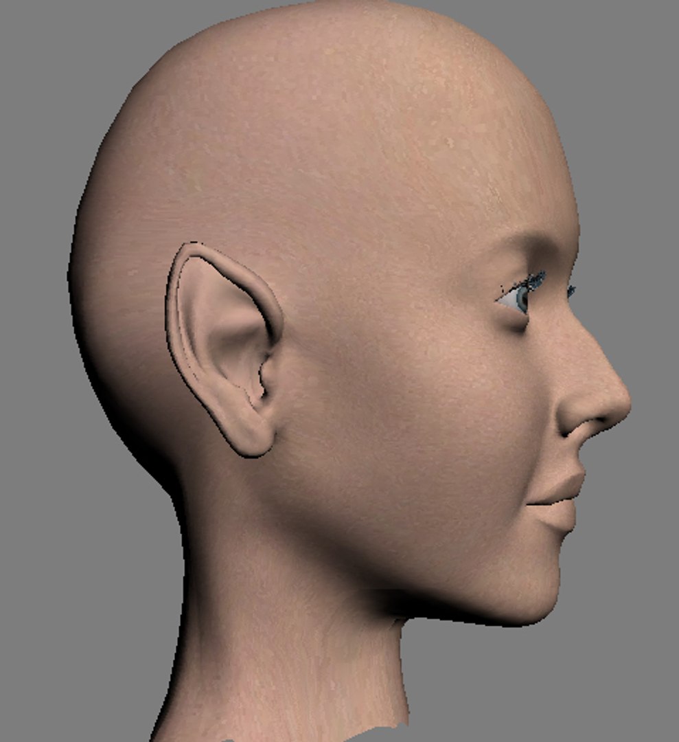 Head Face 3d Model