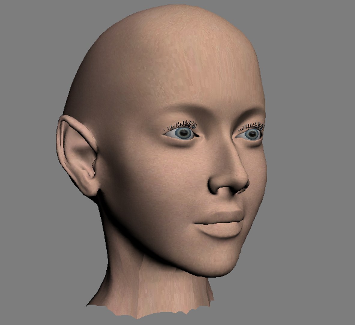 Head Face 3d Model