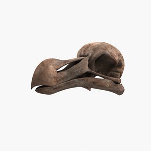3D Dodo Models - Browse & Download Formats - TurboSquid