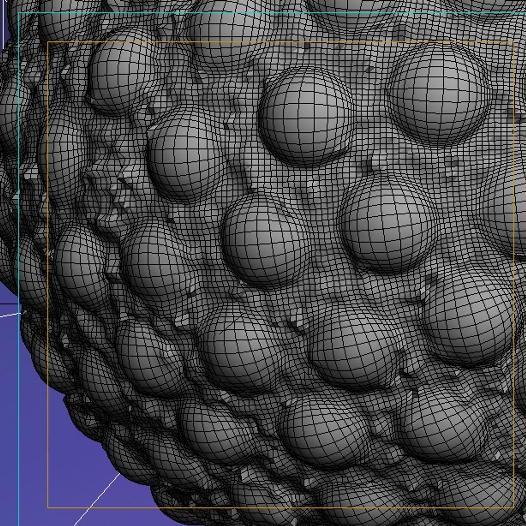 Hepatitis Virus 3d Model