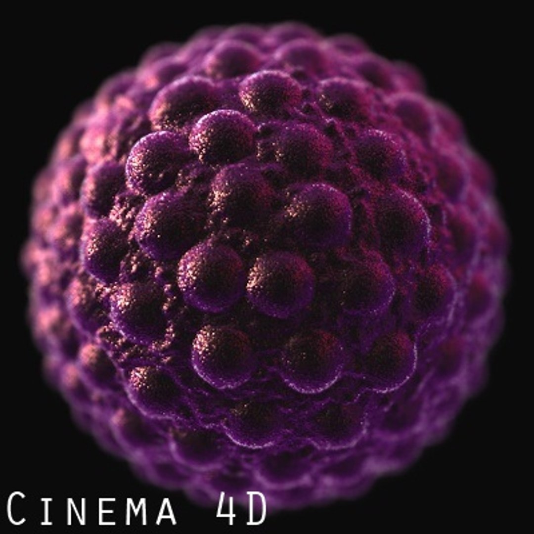 Hepatitis Virus 3d Model