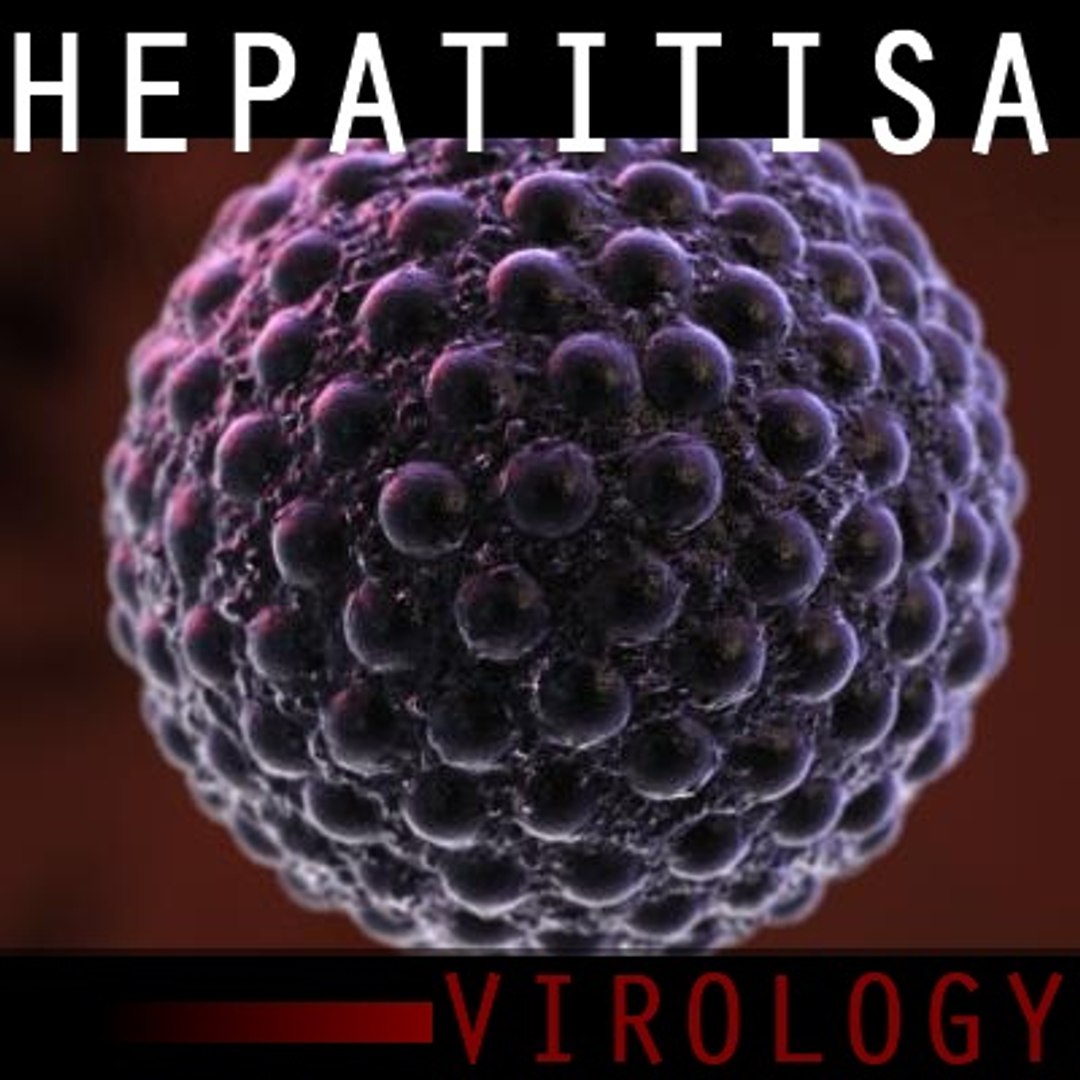 Hepatitis Virus 3d Model