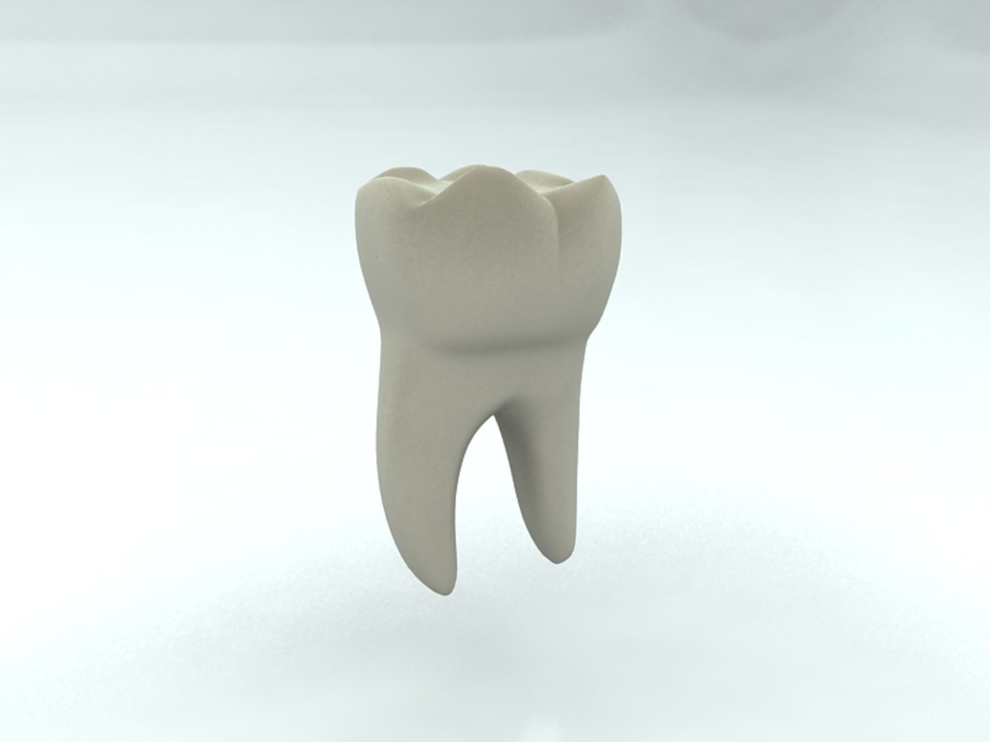 Tooth 3d Max