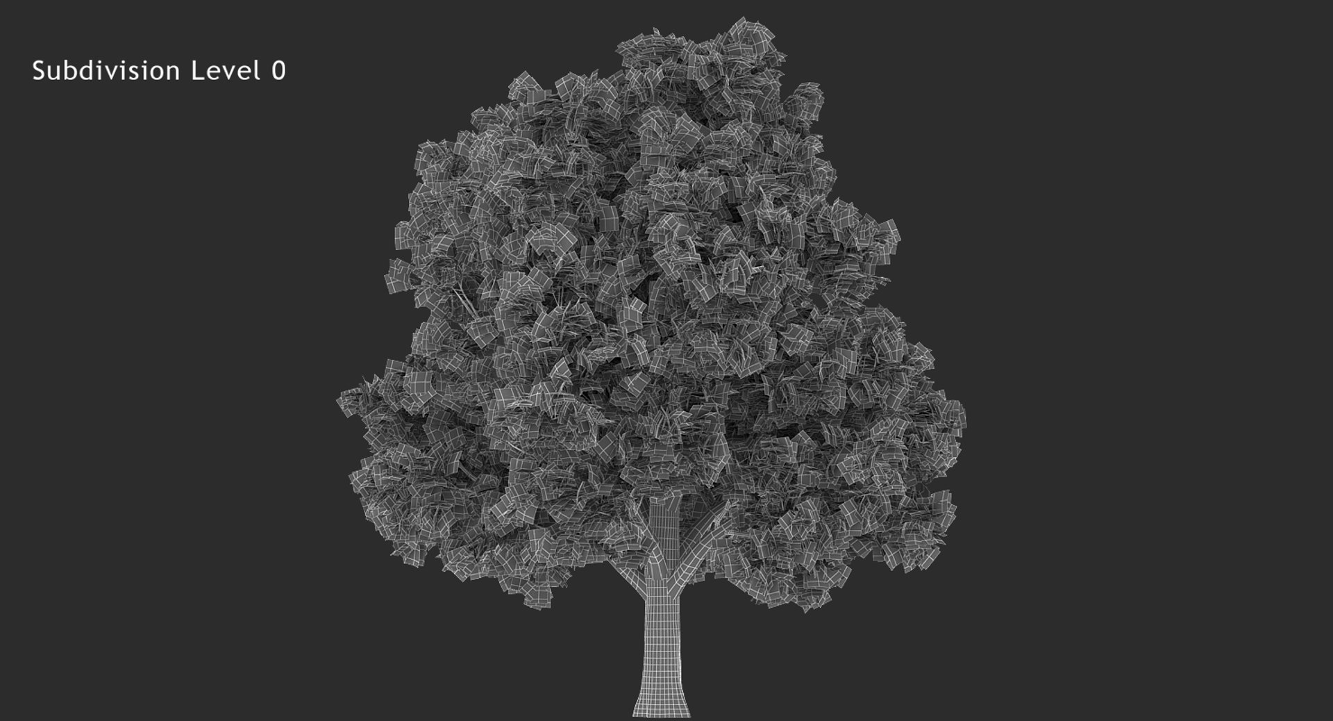 Box Elder Tree 3d Model