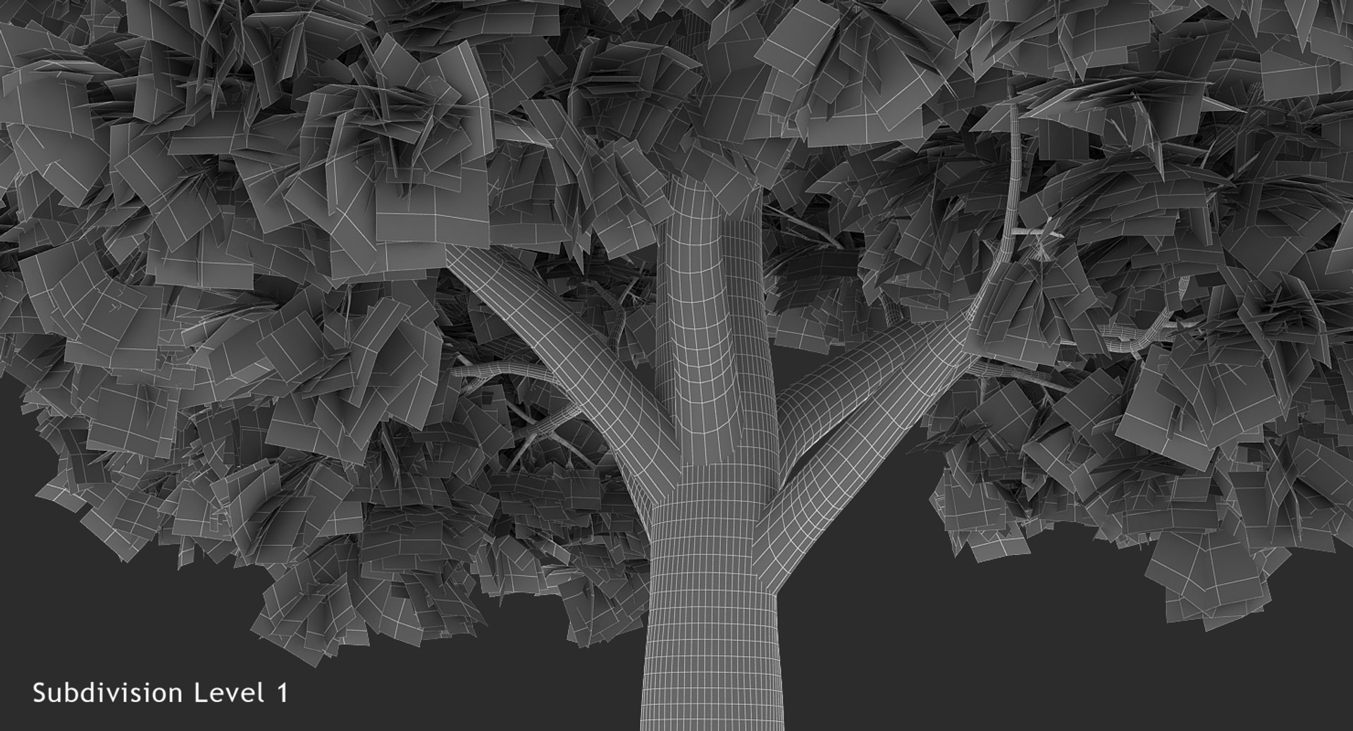 Box Elder Tree 3d Model