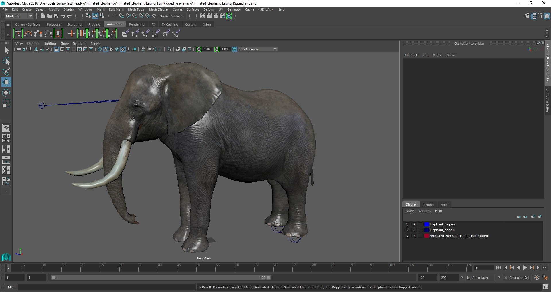 Elephant Eating Mammal Animal 3D Model - TurboSquid 1565200