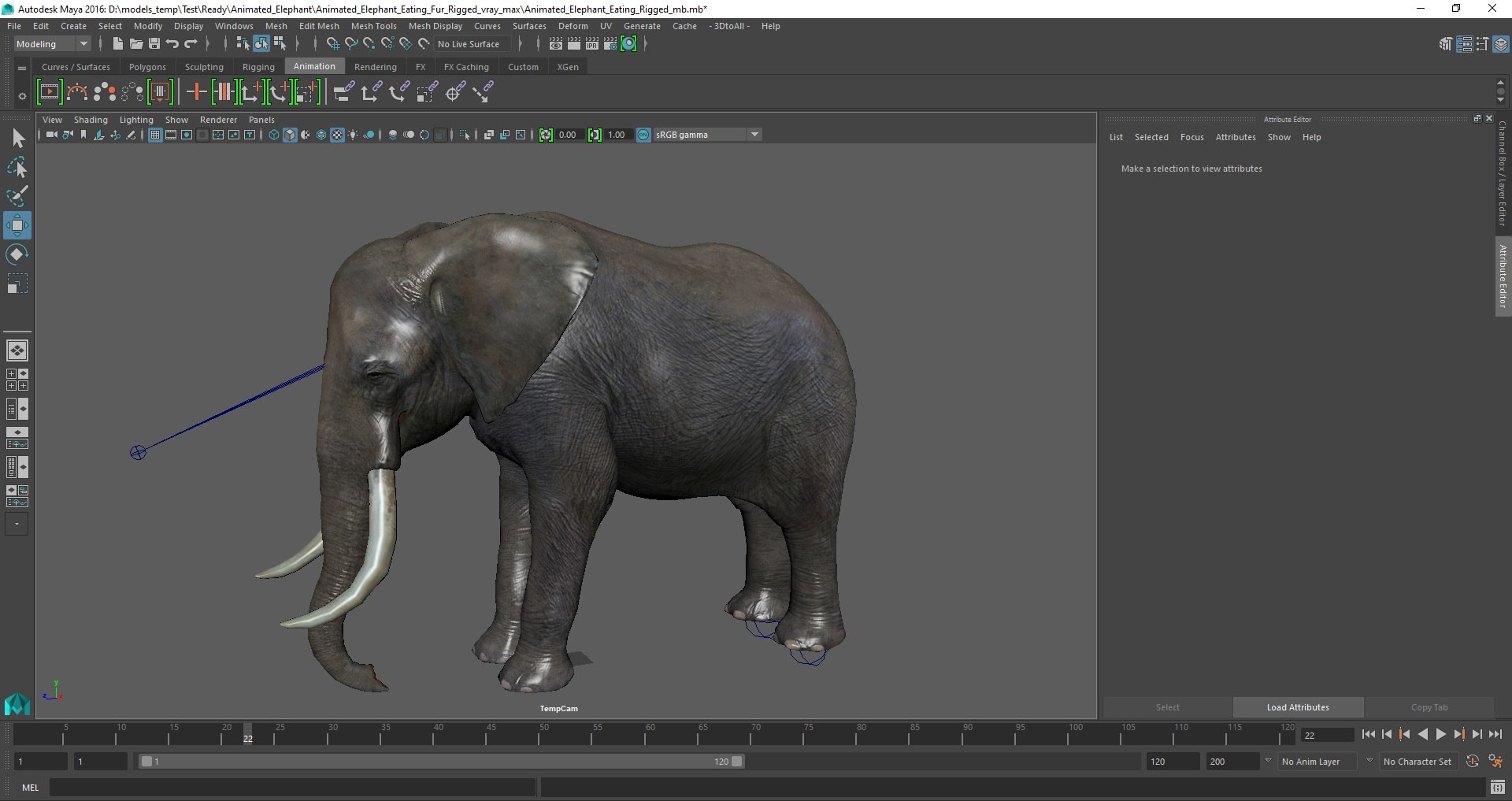 Elephant Eating Mammal Animal 3D Model - TurboSquid 1565200