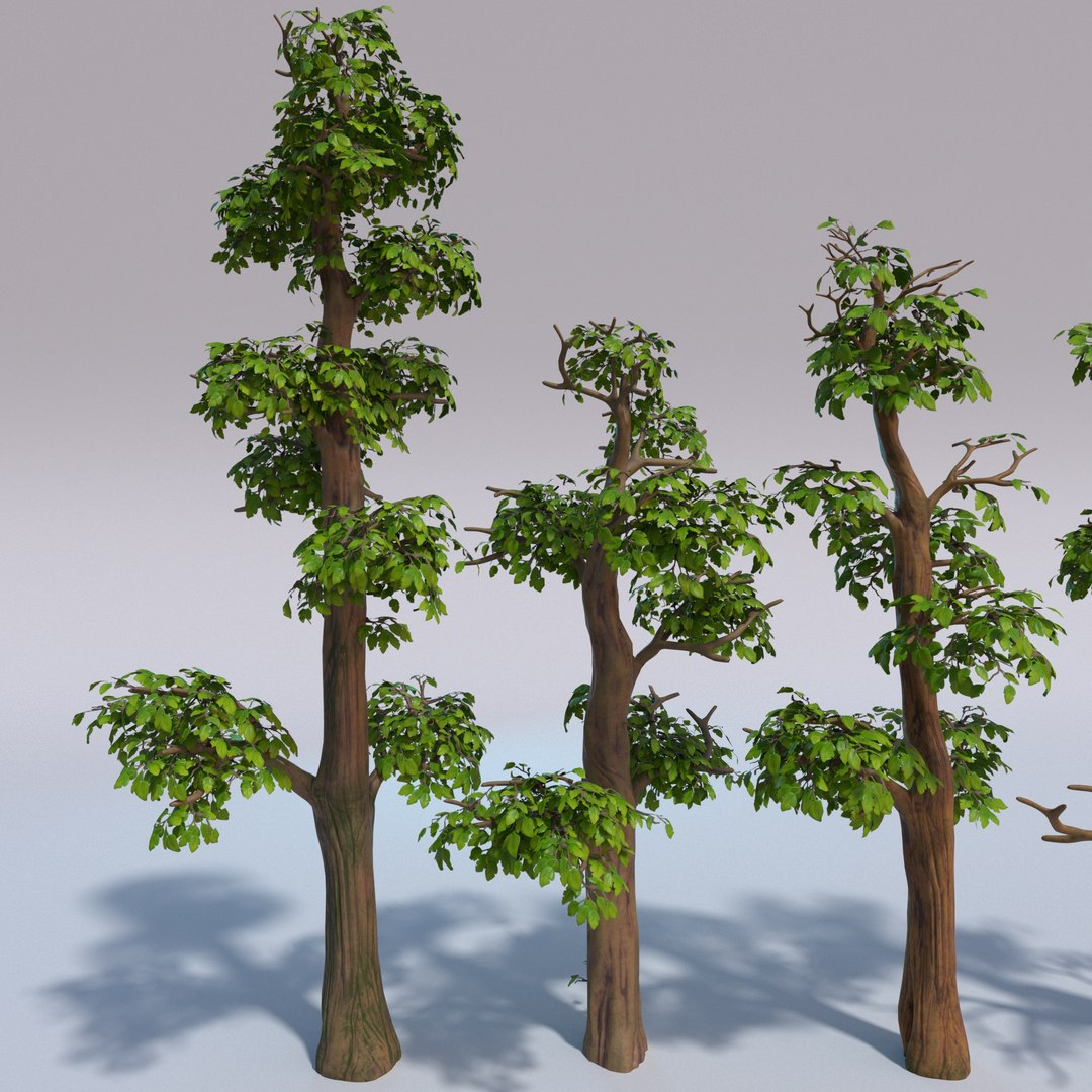 3D Model Cartoon Trees - TurboSquid 2195733