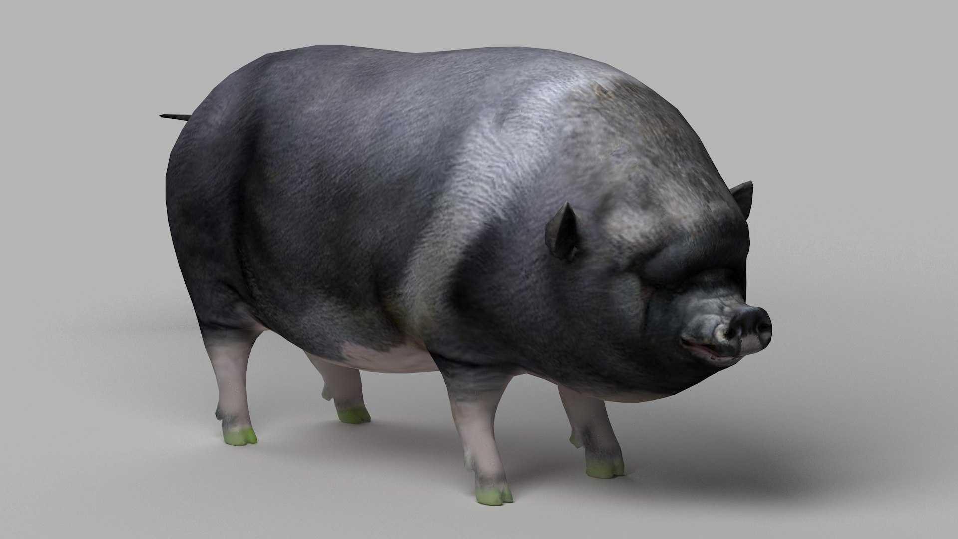 Pig Meat Pork Bacon Pigletshoat Swinedomestic 3D Model - TurboSquid 2159989