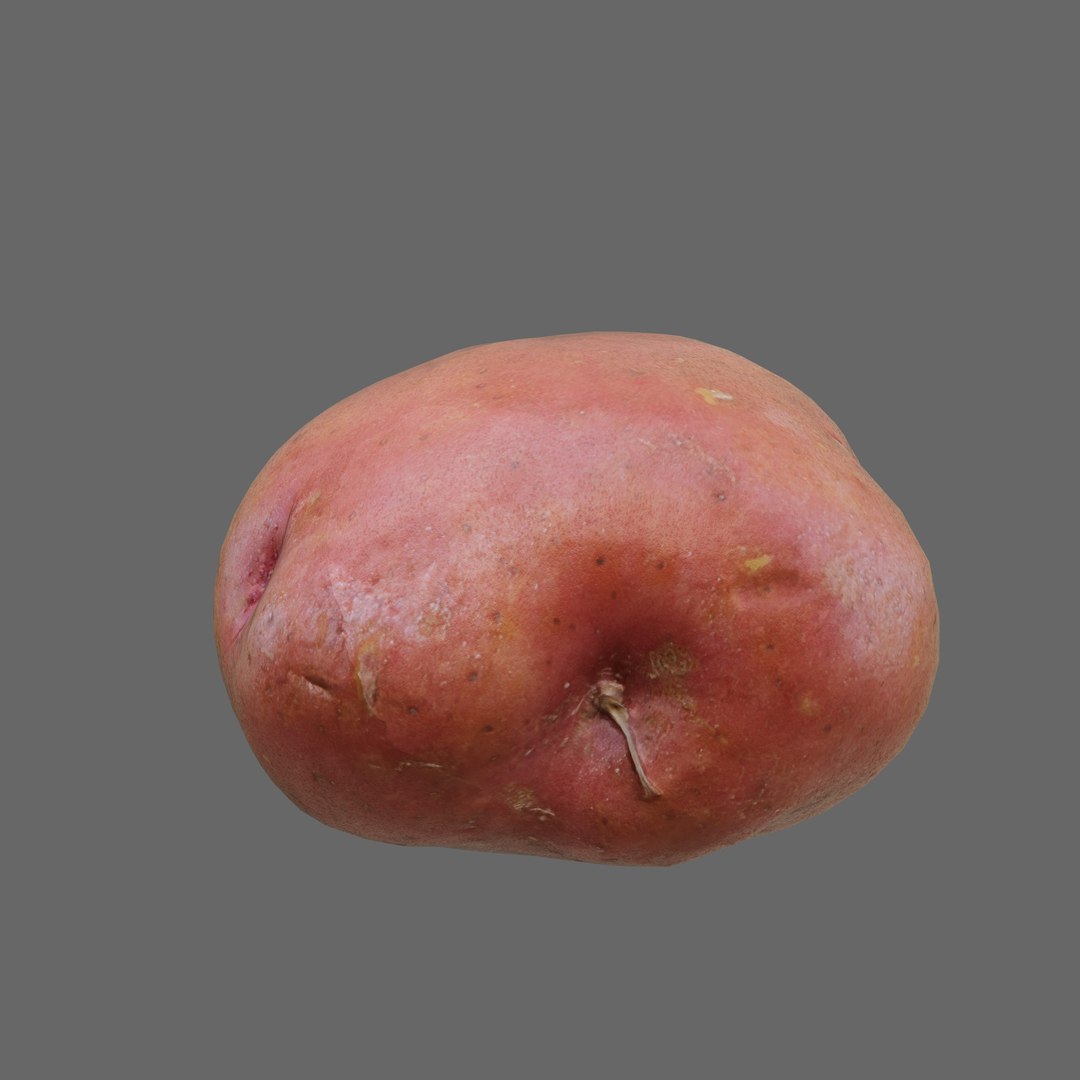 Red Potato Scan Low Poly Model - TurboSquid 2214963
