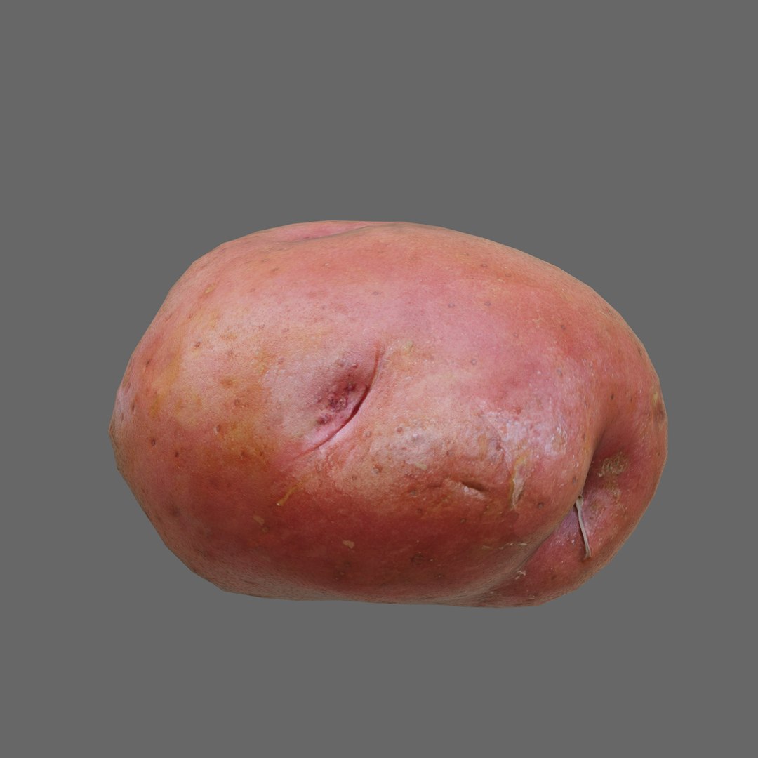 Red Potato Scan Low Poly Model - TurboSquid 2214963