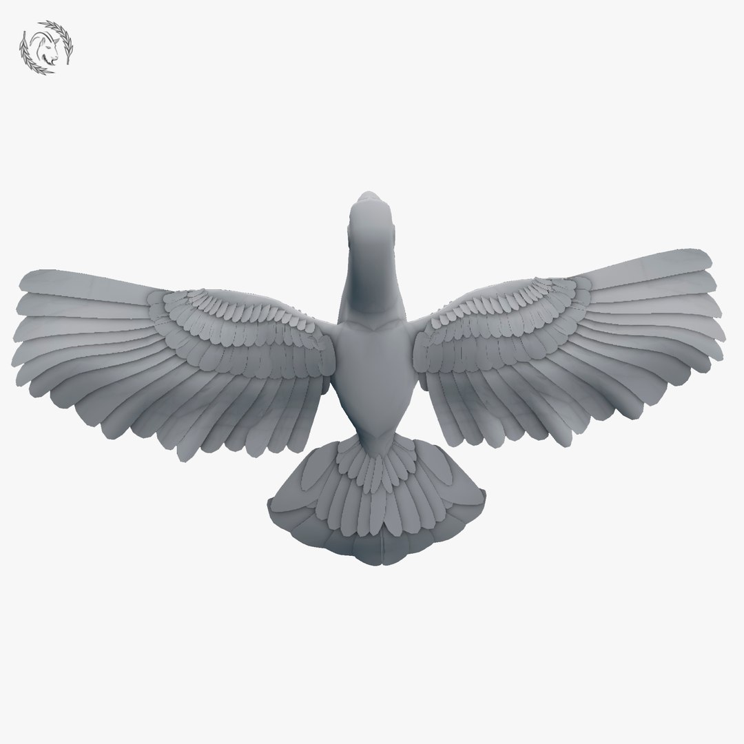 3D Little Bird - TurboSquid 1205209