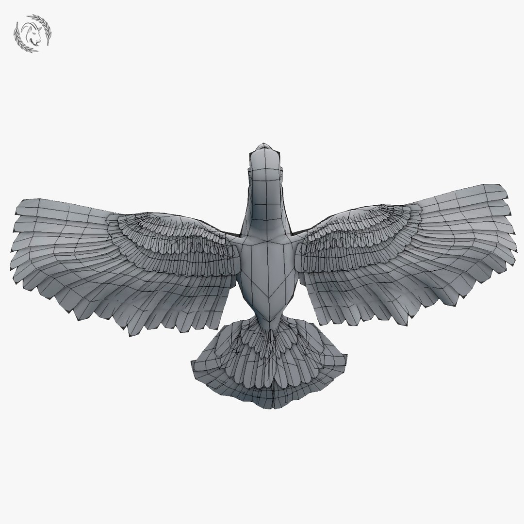 3D Little Bird - TurboSquid 1205209