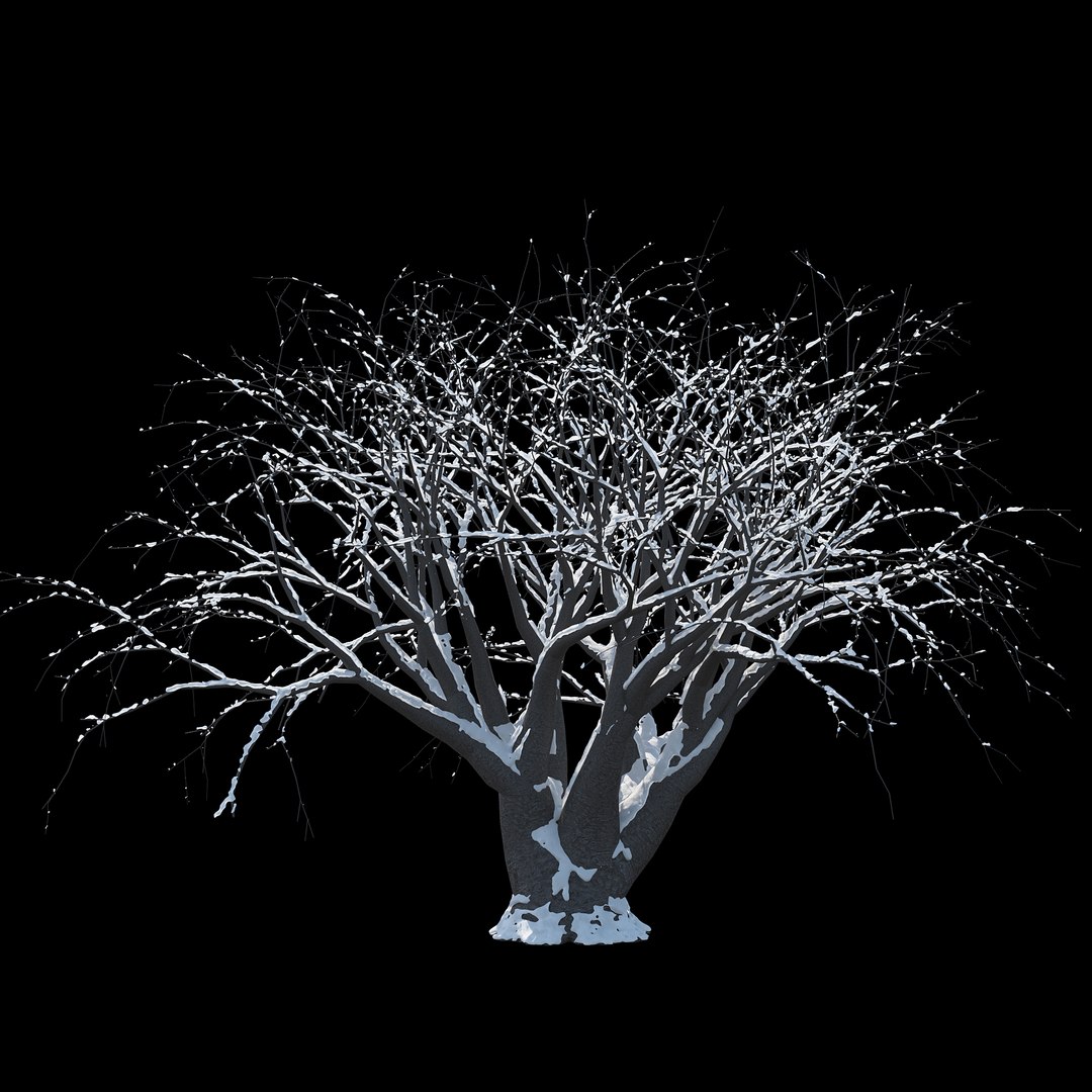 Winter Tree 020 3D Model - TurboSquid 1231305
