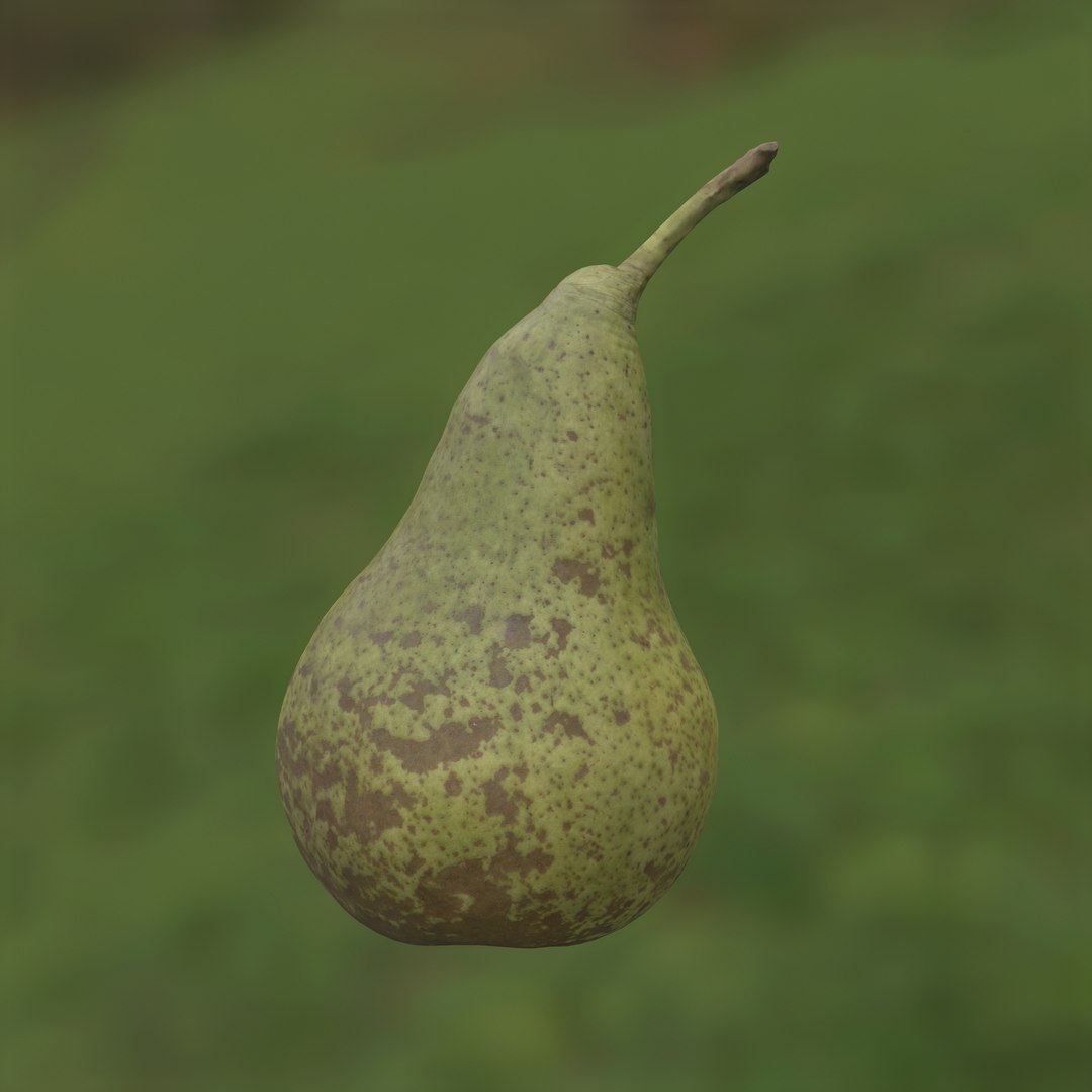 3D Realistic Pear - TurboSquid 1545681