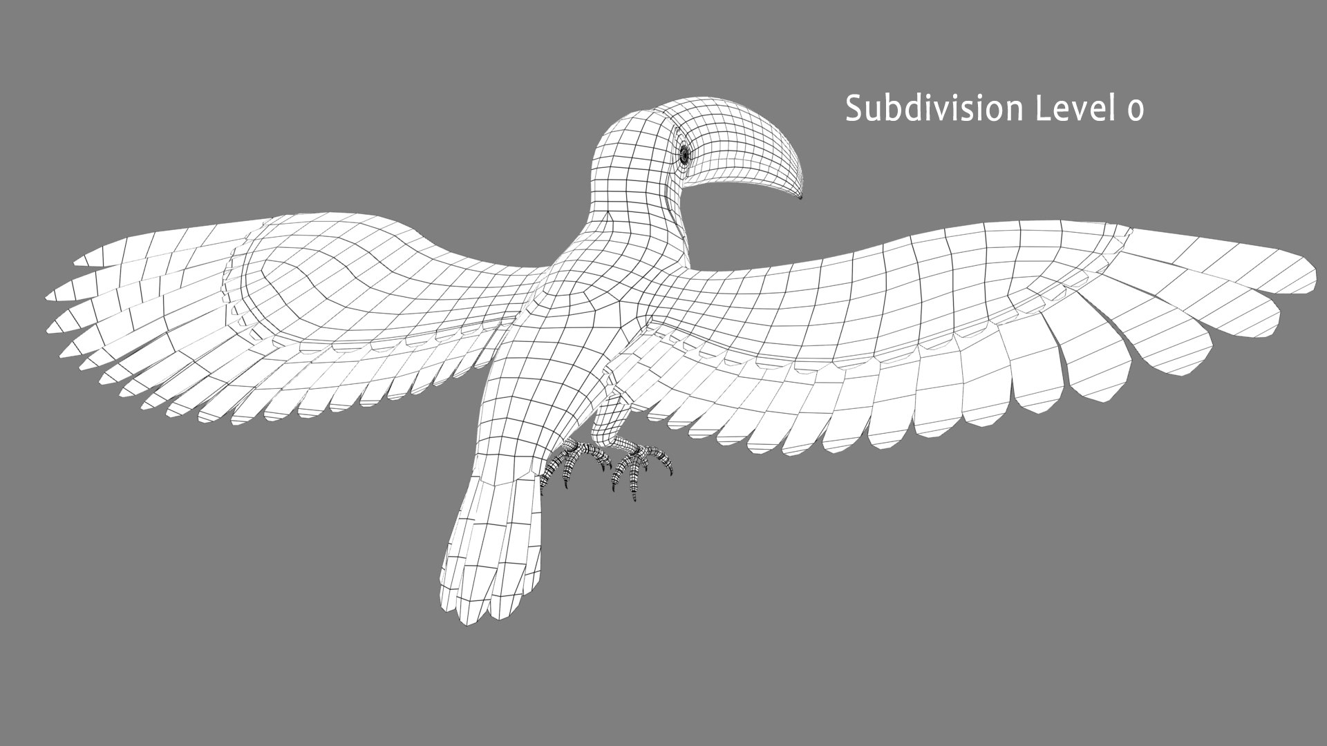 Realistic Flying Toucan 3d Model