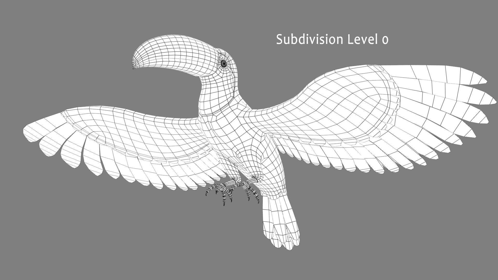 Realistic Flying Toucan 3d Model