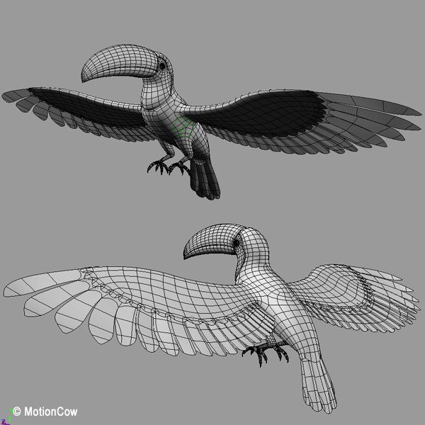 realistic flying toucan 3d model