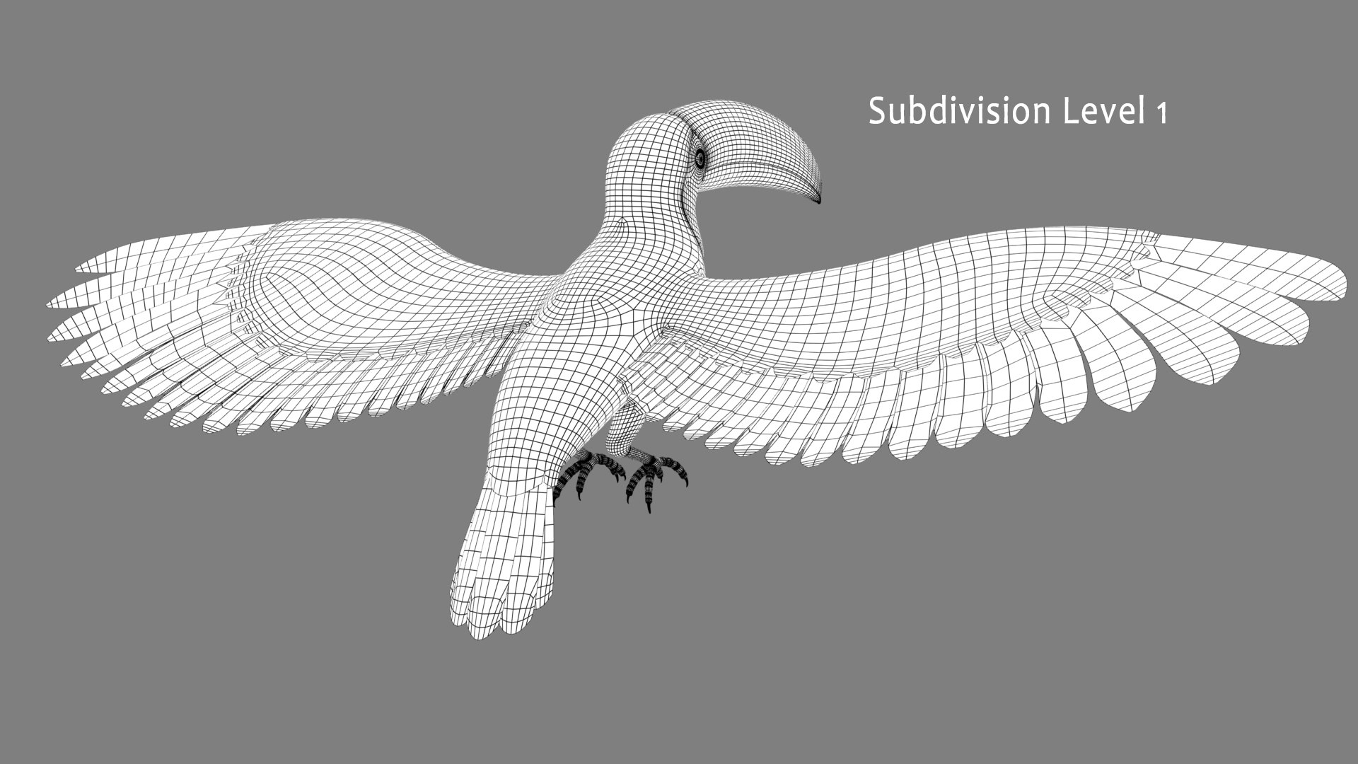 Realistic Flying Toucan 3d Model