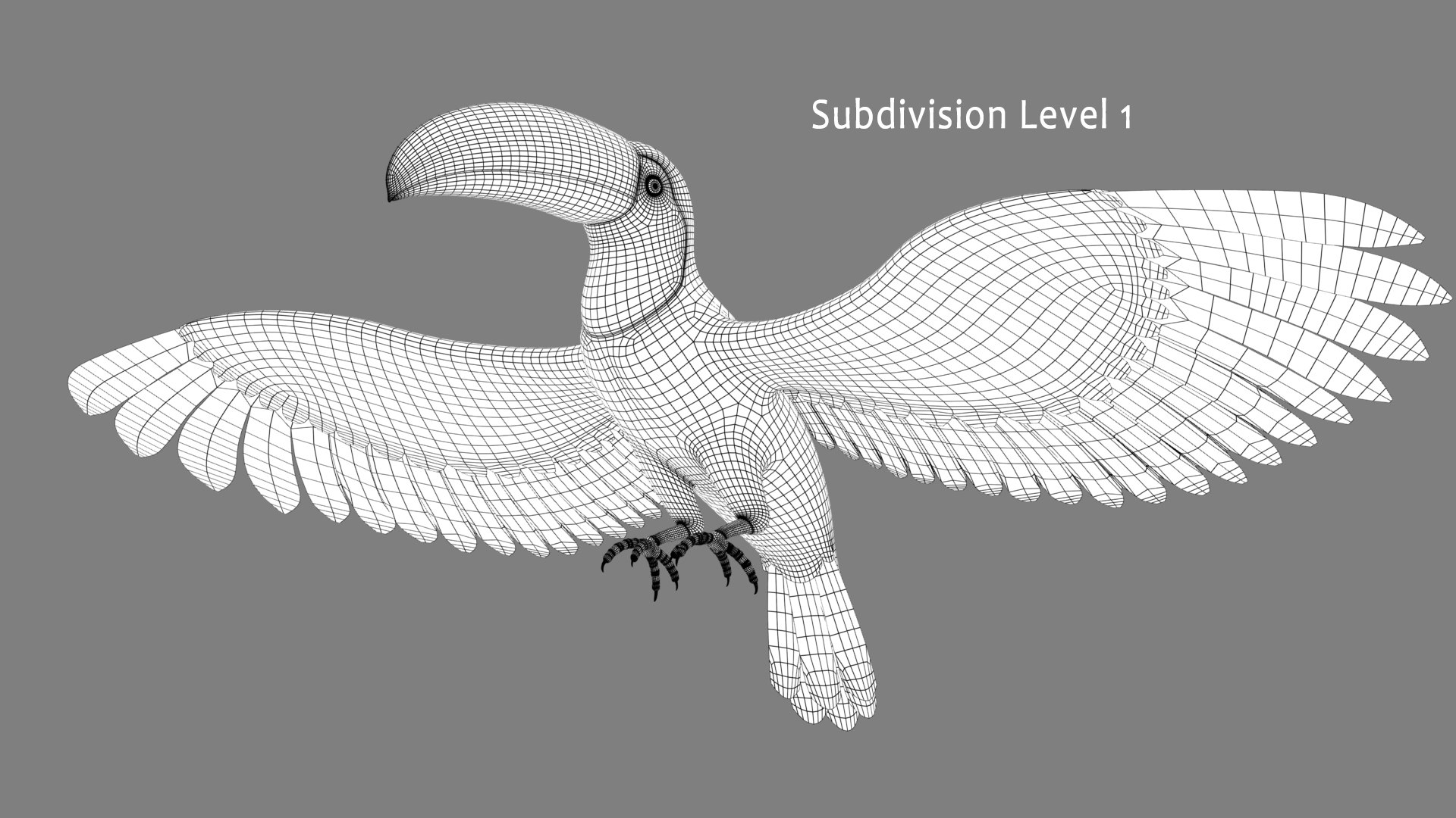 Realistic Flying Toucan 3d Model
