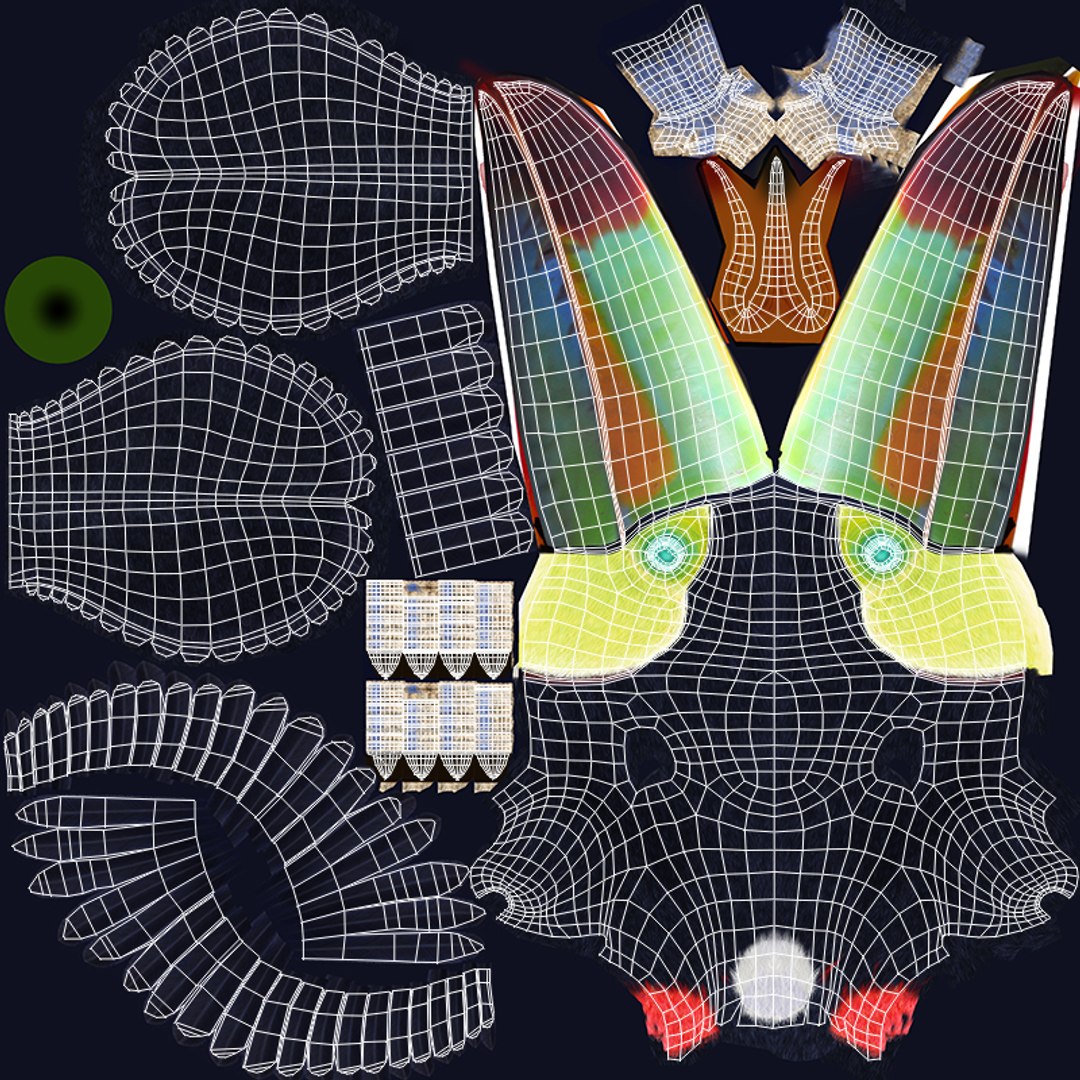 Realistic Flying Toucan 3d Model