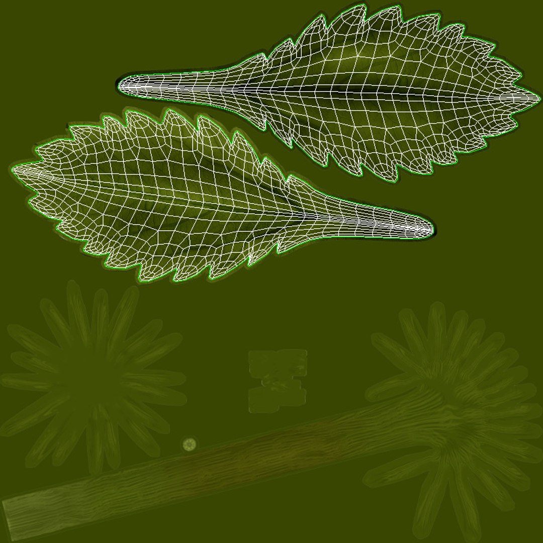 Daisy Single Laying 3d Model