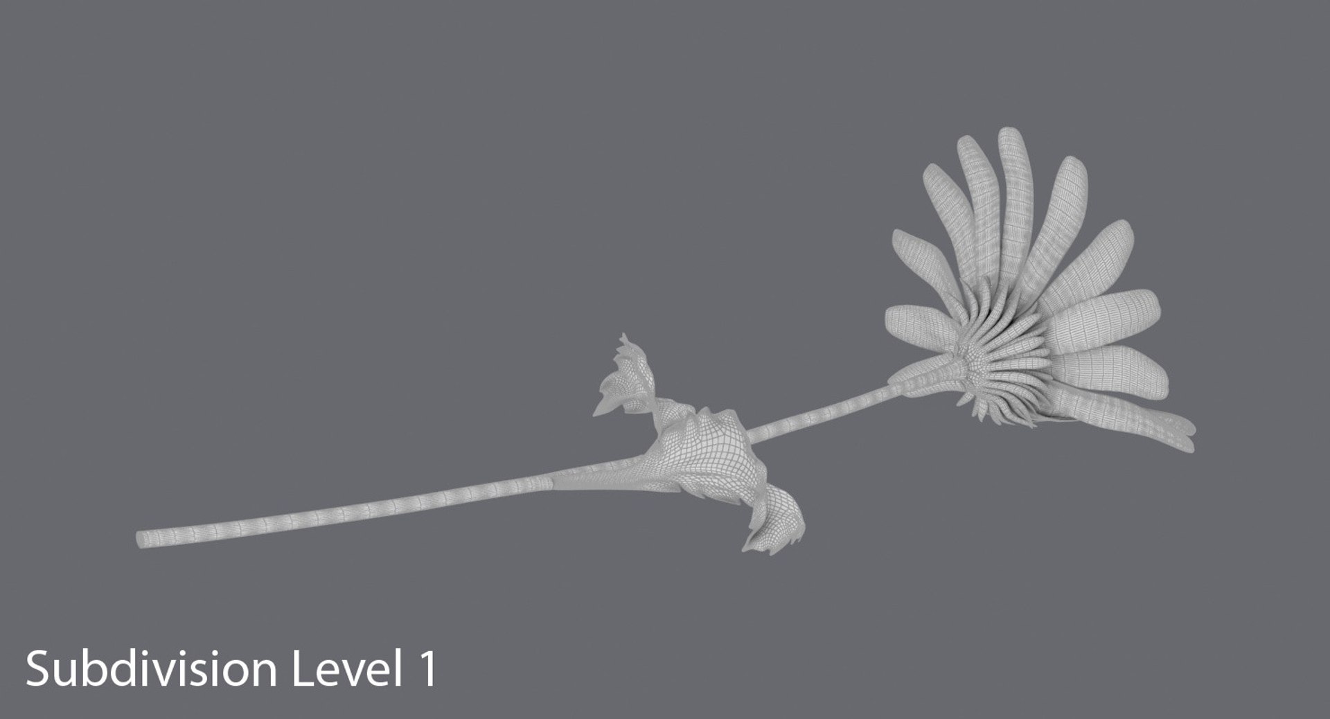 Daisy Single Laying 3d Model