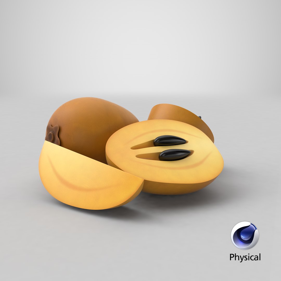 Cartoon Sapodilla 3D Model - TurboSquid 2092914