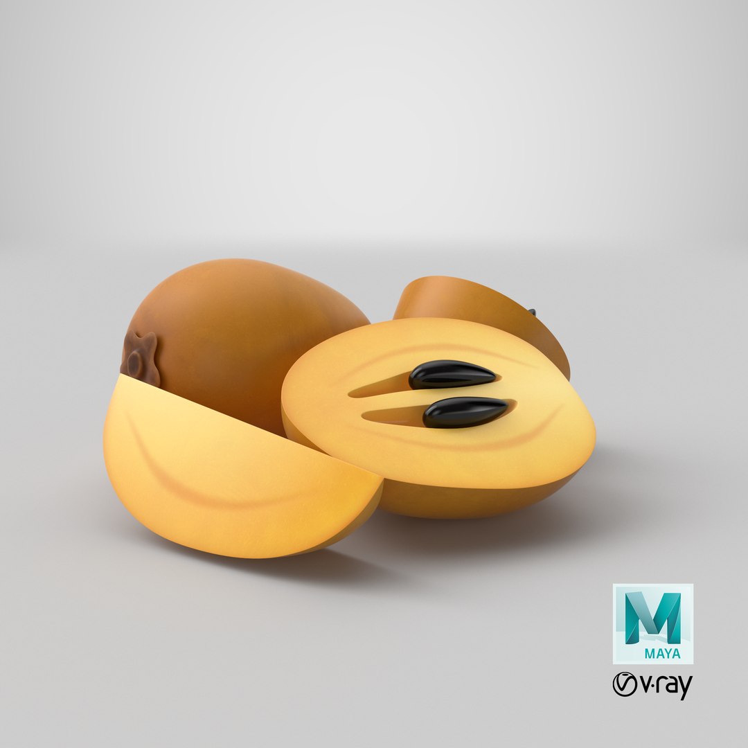 Cartoon Sapodilla 3D Model - TurboSquid 2092914