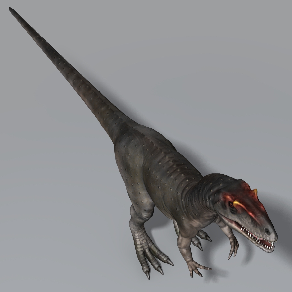 dinosaur allosaurus 3d model